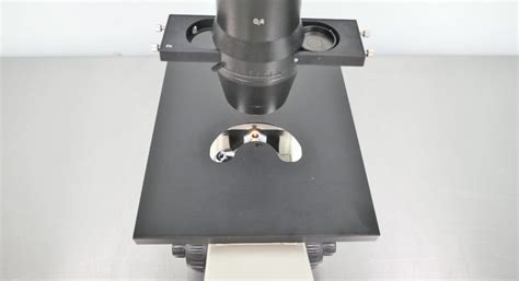 Zeiss Microscope Invertoskop 40c The Lab World Group