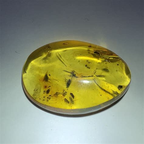 Fsr319 25 X 18 X 7mm 7 Long Legged Flies My Lost Gems™