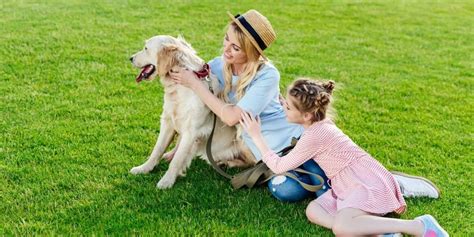 How To Deal With A Crabgrass Infestation