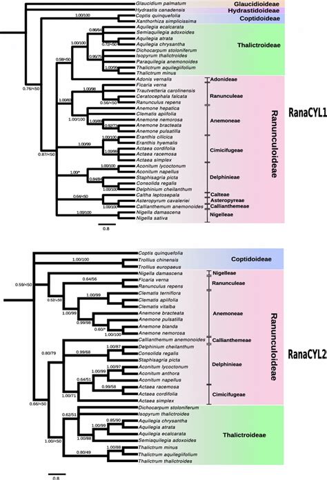 Bayesian Inference Trees Obtained From The Separate Analysis Of Download Scientific Diagram