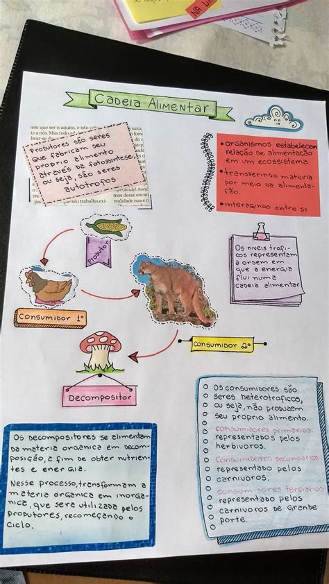 Cadeia Alimentar Cadeia Alimentar Mapa Mental Biologi Vrogue Co