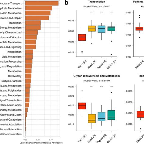 Functional Predictions Based On Picrust Results A Relative Abundance Download Scientific