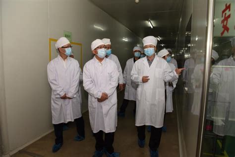 向辉到沧州经济开发区督导调研澎湃号·政务澎湃新闻 The Paper