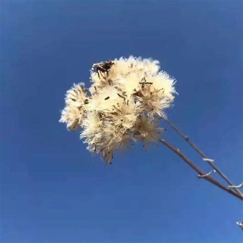 早上好，得之我幸，失之我命，人间走一趟，莫负好时光人生都无常也