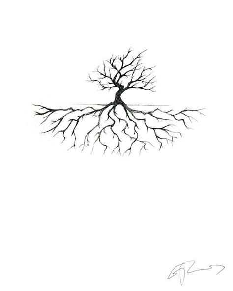 Tree Roots Sketch At PaintingValley Com Explore Collection Of Tree