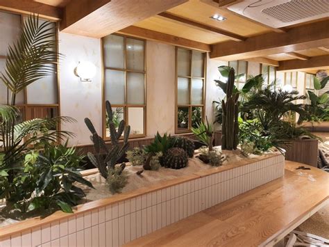 플랜테리어 식물을 통한 공간 연출