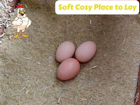 Hemp Fiber Laying Hen Nest Pads Poultry Nesting Box Liners My