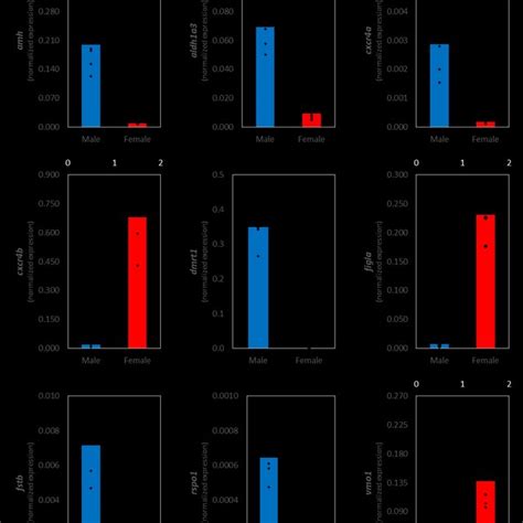 Figure S Relative Gene Expression Assessed By Real Time PCR For Download Scientific Diagram