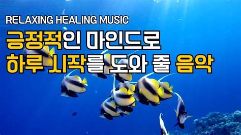 긍정적 마인드로 하루 시작 할 아침음악 🐠 카페음악불면증치료음악우울증치료음악공부 할때 듣는음악스트레스해소음악힐링음악수면음악명상음악부정적감정해소음악독서