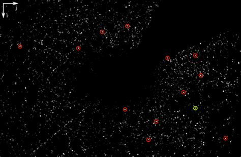 Visualization Of The Prepare Image Module Corner Metric Matrix Output Download Scientific