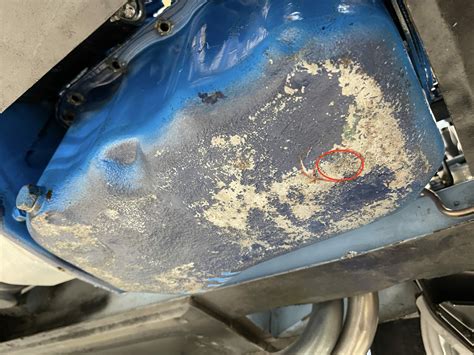 Dreaded Whitworth Oil Leak Virus Mutation