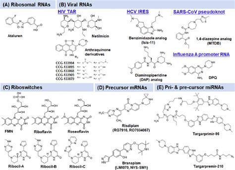 Identification And Structure Based Drug Design Of 56 Off