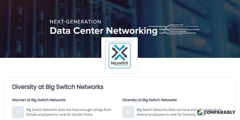 Diversity At Big Switch Networks Comparably