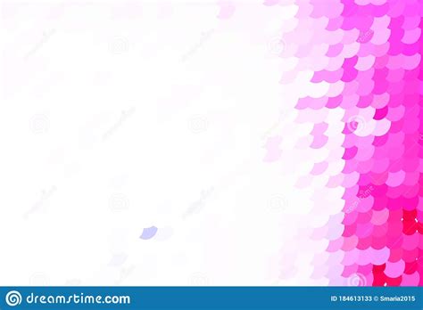 Light Purple Pink Vector Template With Circles Stock Vector Illustration Of Background