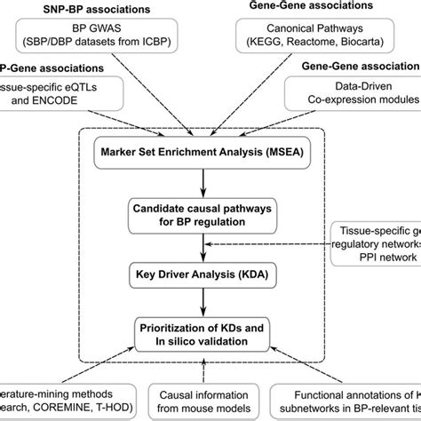The Integrative Genomics Framework For Identifying Genetically Informed