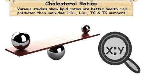 Cholesterol Ratios Total To HDL Ratio Triglycerides To HDL Ratios