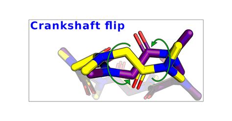 Evaluating The Conformations And Dynamics Of Peptoid Macrocycles The Journal Of Physical