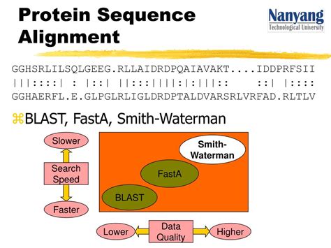 PPT Massively Parallel Computing For Protein Alignment PowerPoint Presentation ID