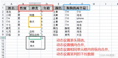 JAVA导出Excel通用工具第二篇使用EasyExcel导出excel的多种情况的例子介绍 素素 的博客 CSDN博客