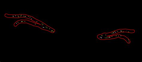 Qupath How To Separately Count Celltypes In Multiple Annotations In The Same Photo Image