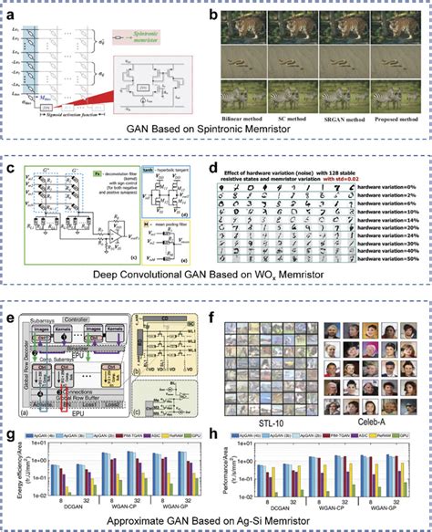 A Structure Of The Ferroelectric Memristor B Stdp Behavior Download Scientific Diagram