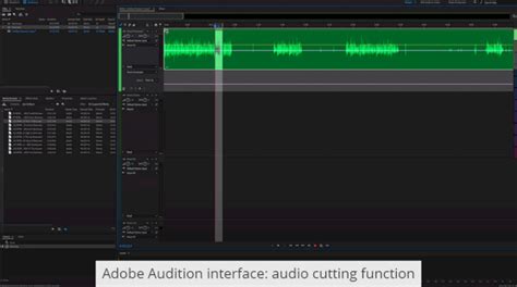 Adobe Audition Vs Audacity What Software To Install
