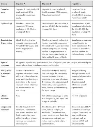 Microbiology Exam 4 Flashcards Quizlet