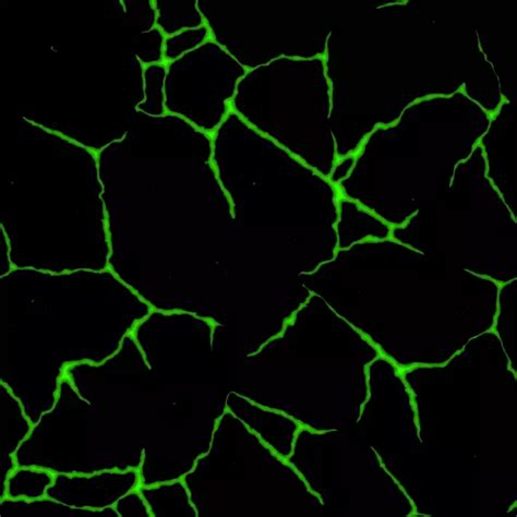 Stylized Radioactive Ground Pbr Texture