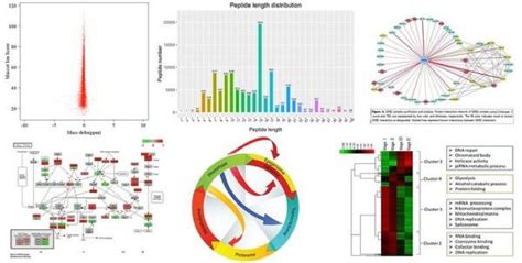 Best Bioinformatics Tools For Beginners