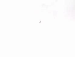 SirKai Blogs Some Stuff Porn Photo Pics