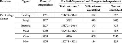 Summary Of The Binary Classification Experiment Download Scientific