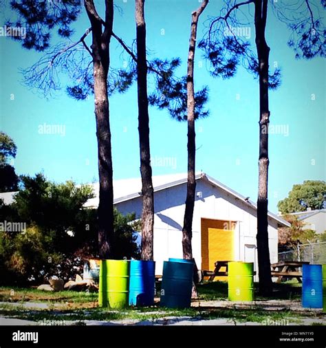 Tall Trees Drum Hi Res Stock Photography And Images Alamy