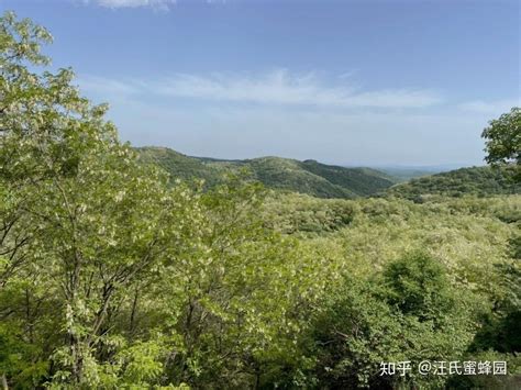 赴一场甜蜜之约 汪氏助农 好蜜之旅圆满落幕 知乎