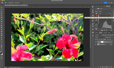 How Can You Fix An Overexposure Using An Application For Post Processing LensWisdom How Can You Fix An Overexposure Using An Application For Post Processing LensWisdom