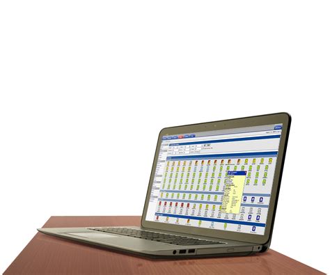 Grow With Sas Sas