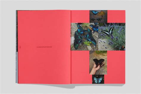 Orienteer Mapazine Issue 08 “deimatic Behaviour” Fonts In Use