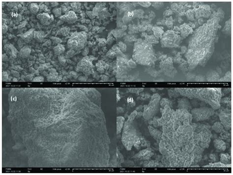 Sem Micrographs Of A Mt B Mt Ctab C Mt Fe And D Mt Fe Ctab