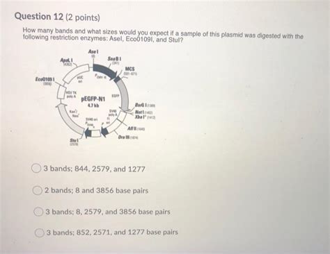 Solved Question 7 2 Points While Passaging Cells Trypsin