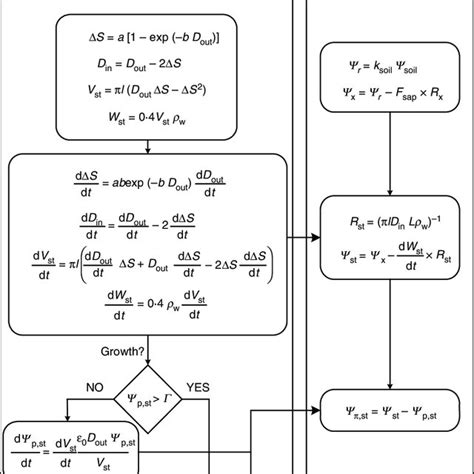 Schematic Overview Of The Model Linking The Dynamics Of Stem Diameter