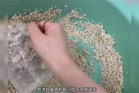 我要当姥了谁能告诉我咋整啊 咋整