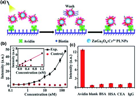 Electronic Structure Engineering And Biomedical Applications Of Low Energy Excited Persistent