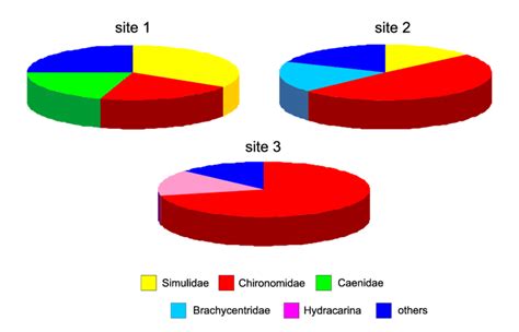 The Dominance Structure Of The Macroinvertebrate Communities At Sites Download Scientific