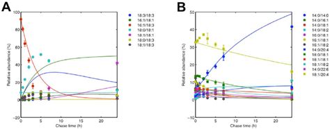 permutation test result to examine the robustness of the model we
