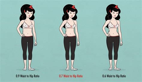 Sexiest Female Hip To Waist Ratio For Maximum Attractiveness Female
