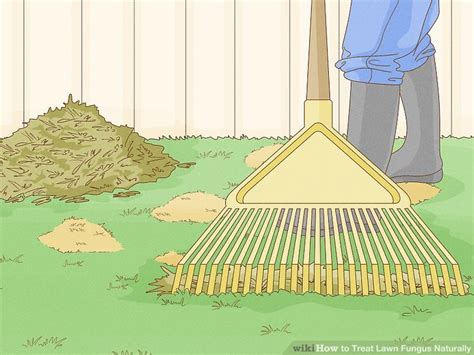 11 Simple Ways To Treat Lawn Fungus Naturally Wikihow