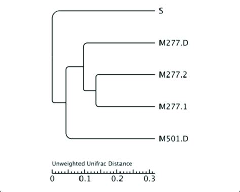 Upgma Clustering Tree Based On Unifrac Download Scientific Diagram