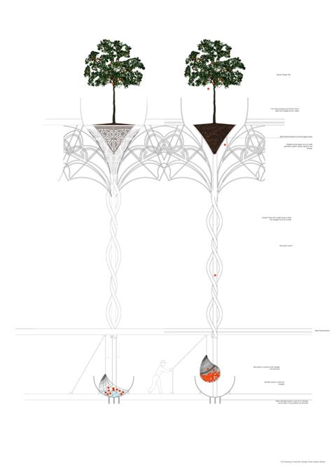 Understanding The Tree System Kate Fisher Architectural Portfolio