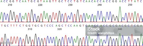 Dna Sequence Chromatogram Stock Illustration Download Image Now Dna