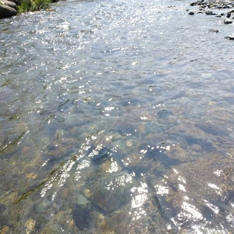 Stream Miri Music Listen To Songs Albums Playlists For Free On SoundCloud