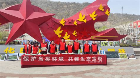 【爱鸟周宣传】宝塔区林业局：保护鸟类环境 共建生态宝塔活动救助动植物